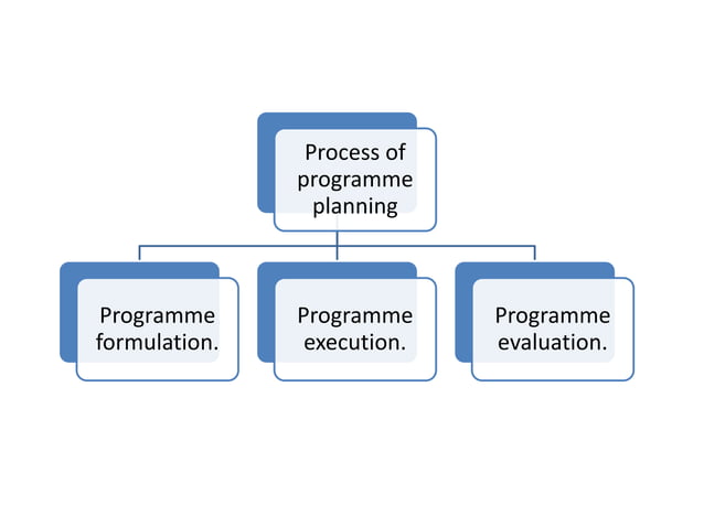 Programme planning skills and basis | PPTX | Business | Business and ...