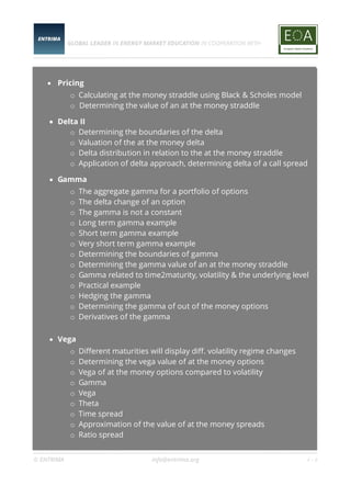 Energy options - practical application | PDF