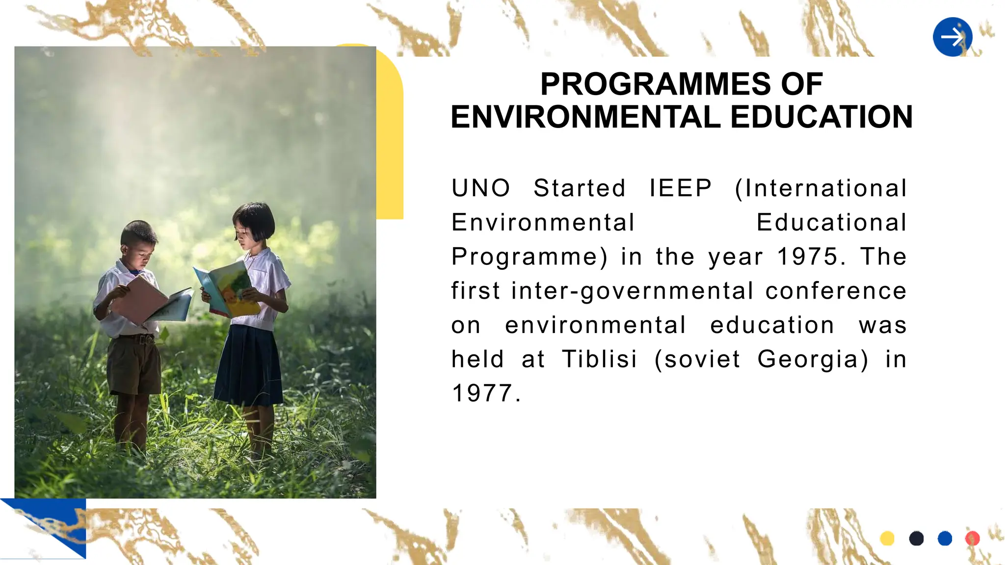 PROGRAMMES OF ENVIRONMENTAL EDUCATION.pptx