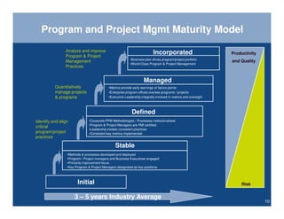 Program Mgmt Overview | PDF | Business | Business and Finance