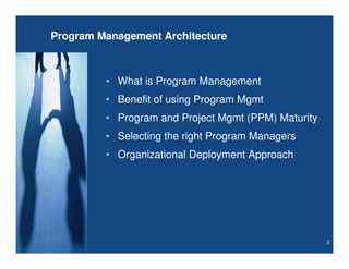 Program Mgmt Overview | PDF | Business | Business and Finance