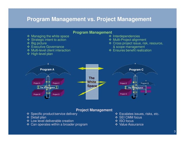 Program Mgmt Overview | PDF | Business | Business and Finance