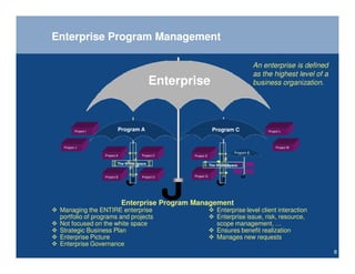 Program Mgmt Overview | PDF | Business | Business and Finance