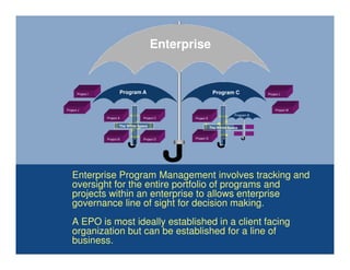 Program Mgmt Overview | PDF | Business | Business and Finance
