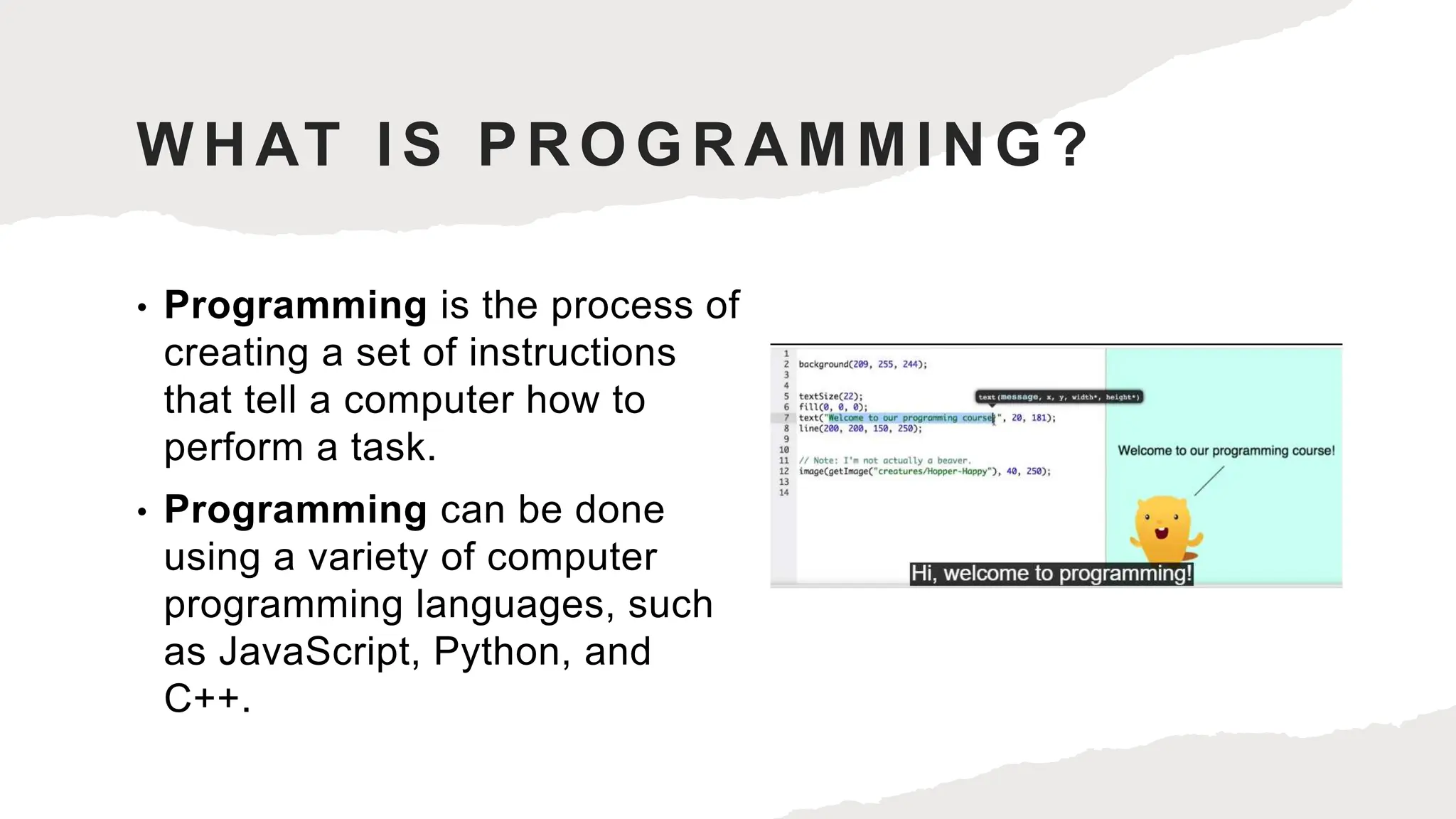 PowerPoint Presentation about Programming 101 for Girls | PPTX