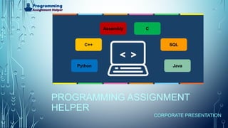 Programming assignment helper Review | PPT