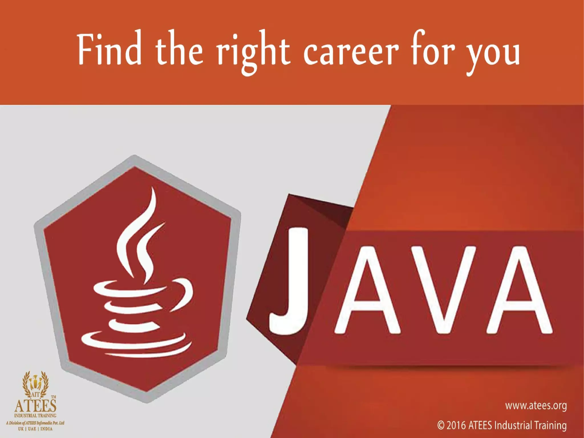 Programming course training | ODP