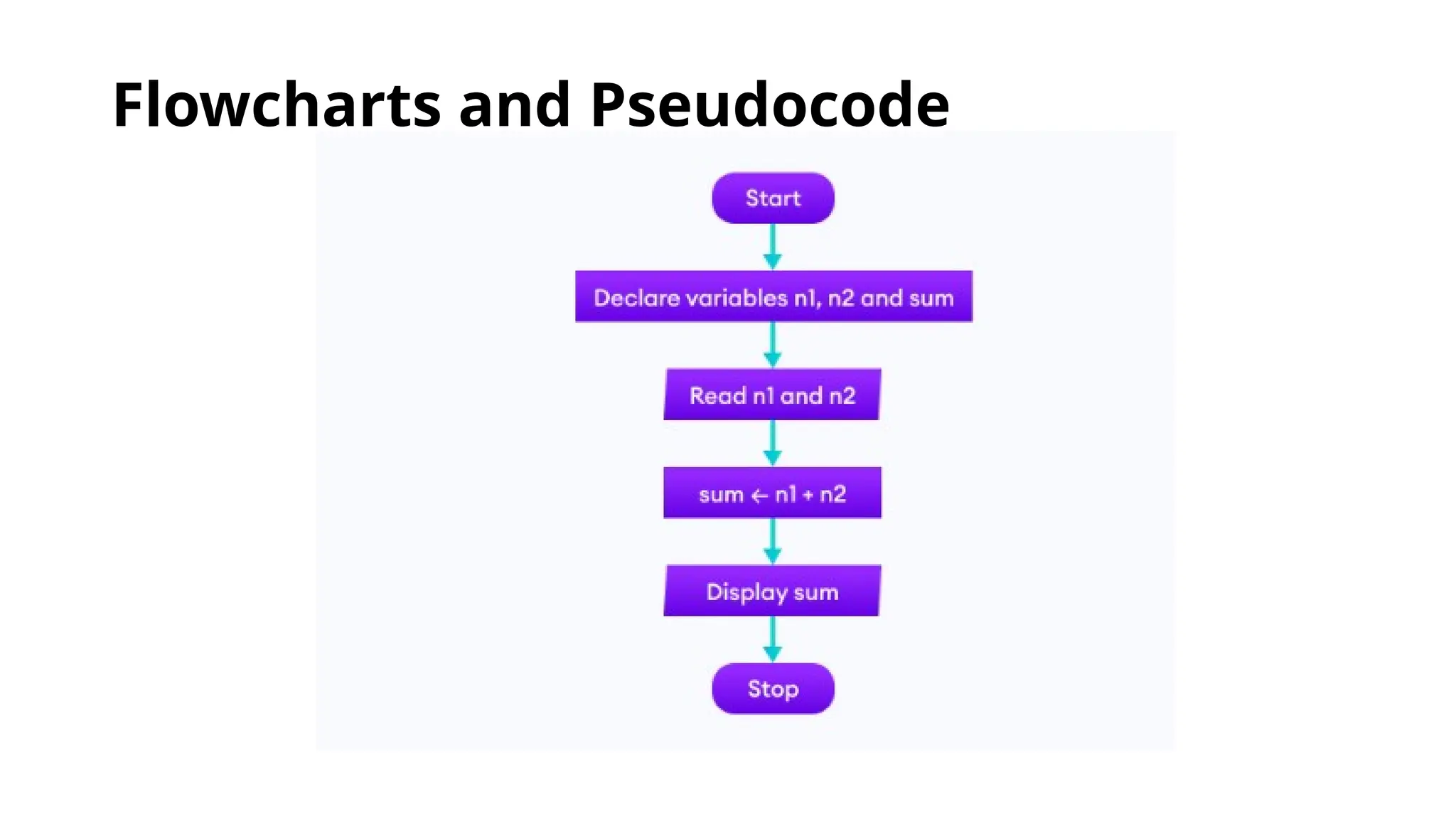 Programming Development LifeCycle11.pptx