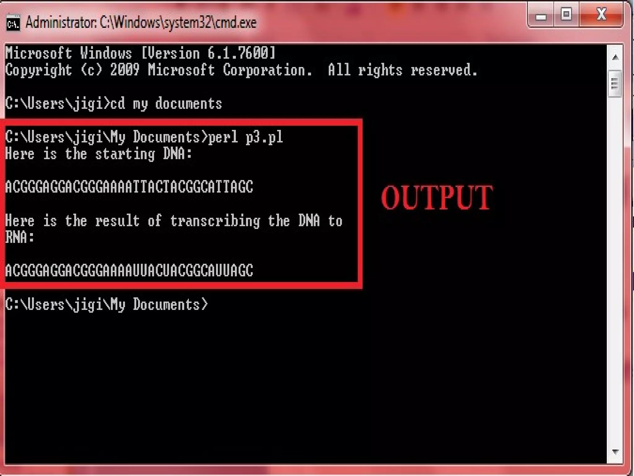 Programming for biologists | PPT