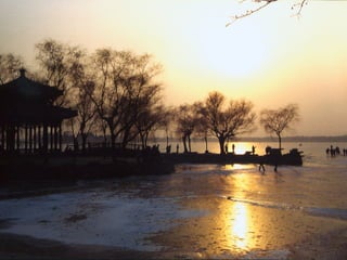 Programming Humans | PPT