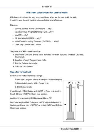 Programming in Petroleum Engineering Graduation Project 2020 | PDF
