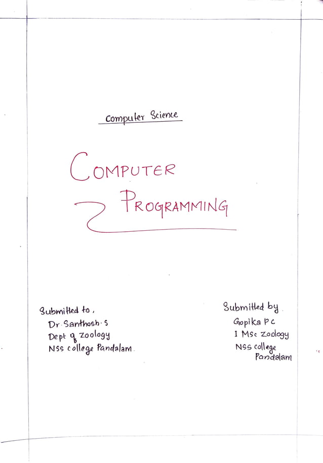 programming language.pdf