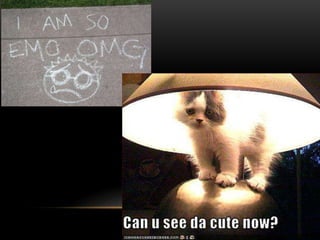 Programming language crisis | PPTX