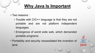 Programming languages at lara technologies | PPTX