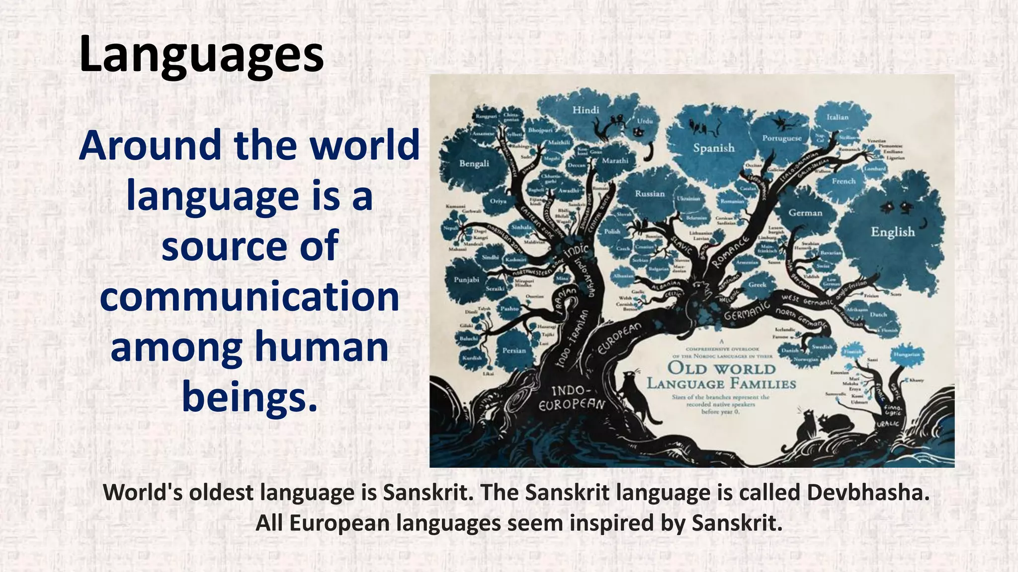 Programming languages in bioinformatics by dr. jayarama reddy | PDF