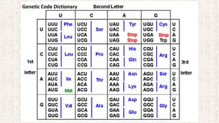 Programming languages in bioinformatics by dr. jayarama reddy | PPT
