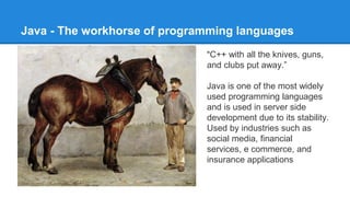 Programming Merit Badge Slide Show | PPTX