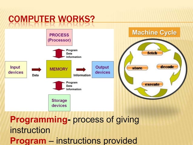 Programming preparation_stepping Algorithm | PPT