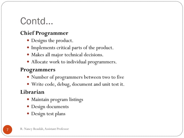 Programming team structure | PDF