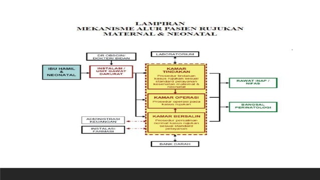 Program Nasional (Prognas).pptx