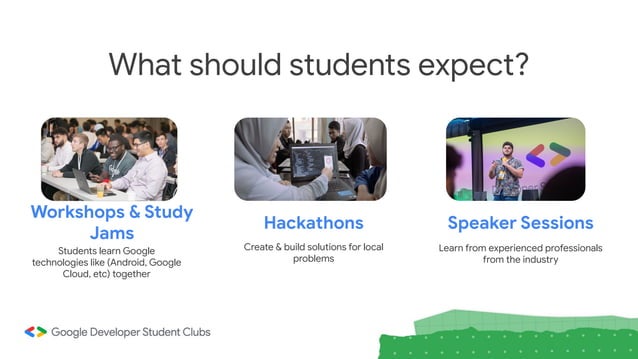 Program Overview.pdf
