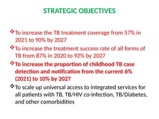 program over view and strategic interventions.pptx