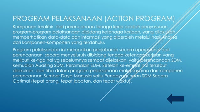 Program pelaksanaan (action program).pptx