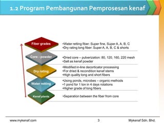 Program pembangunan tanaman dan pemprosesan kenaf | PPT