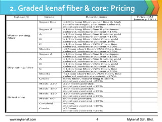 Program pembangunan tanaman dan pemprosesan kenaf | PPT