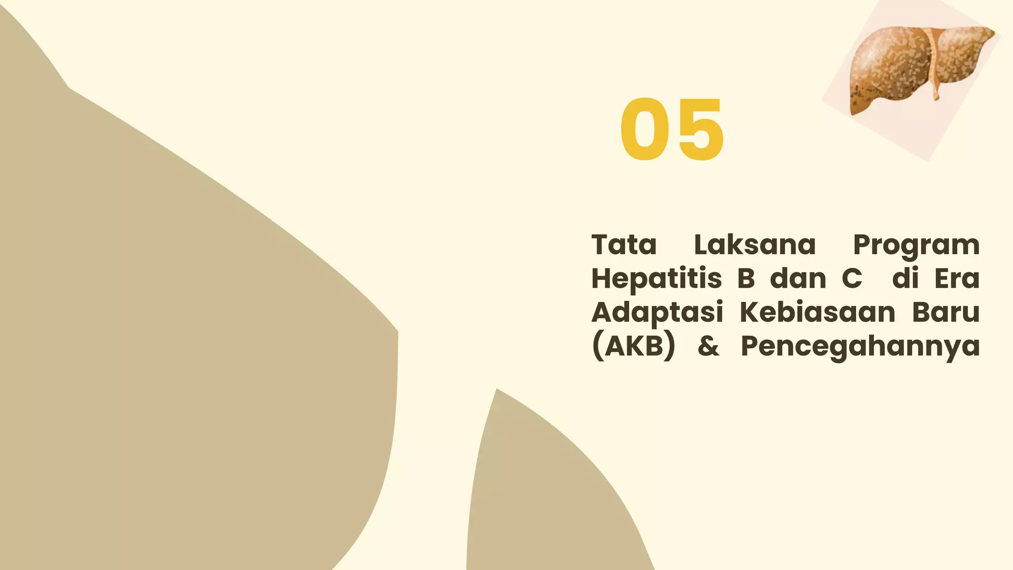 Program Pengendalian Hepatitis B & C | PDF
