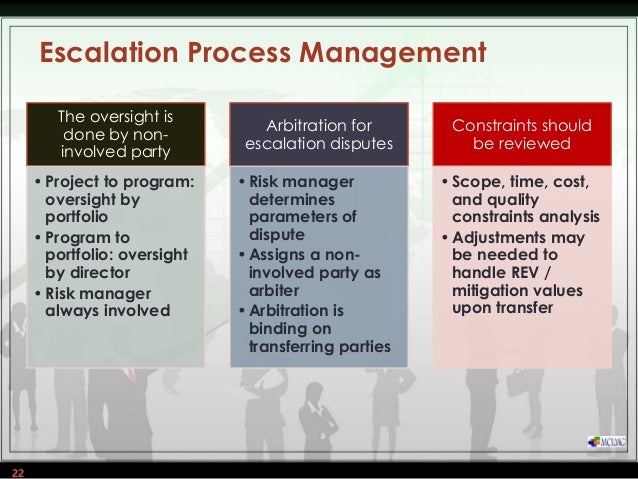 Program portfolio risk management solutions