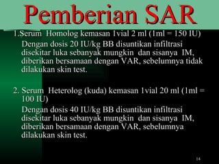 Program rabies di puskesmas | PPT