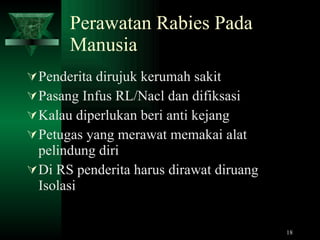 Program rabies di puskesmas | PPT