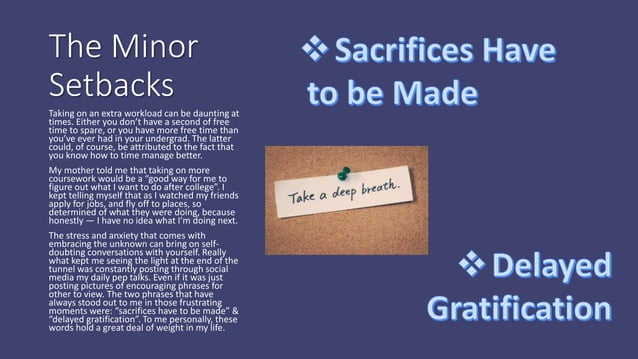 Program Reflection Presentation | PPT