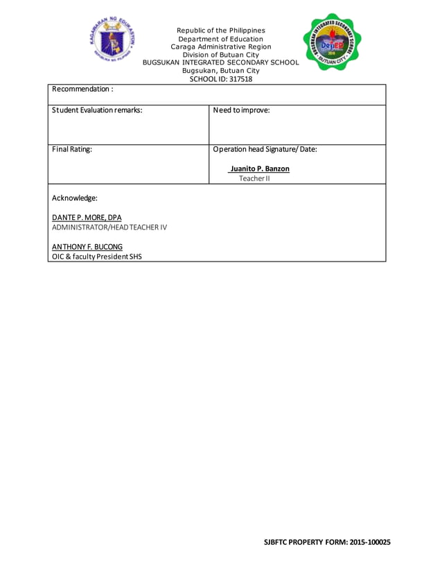 Program review NCII | PDF