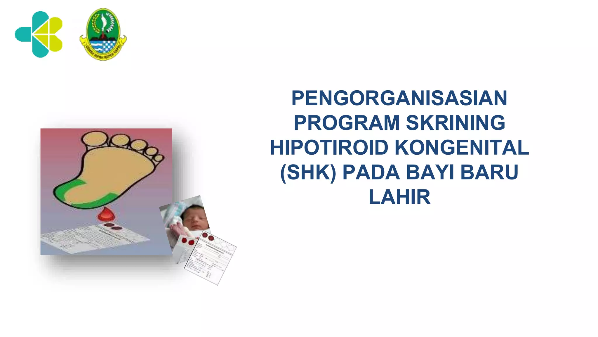 Program SHK 2022.ppt