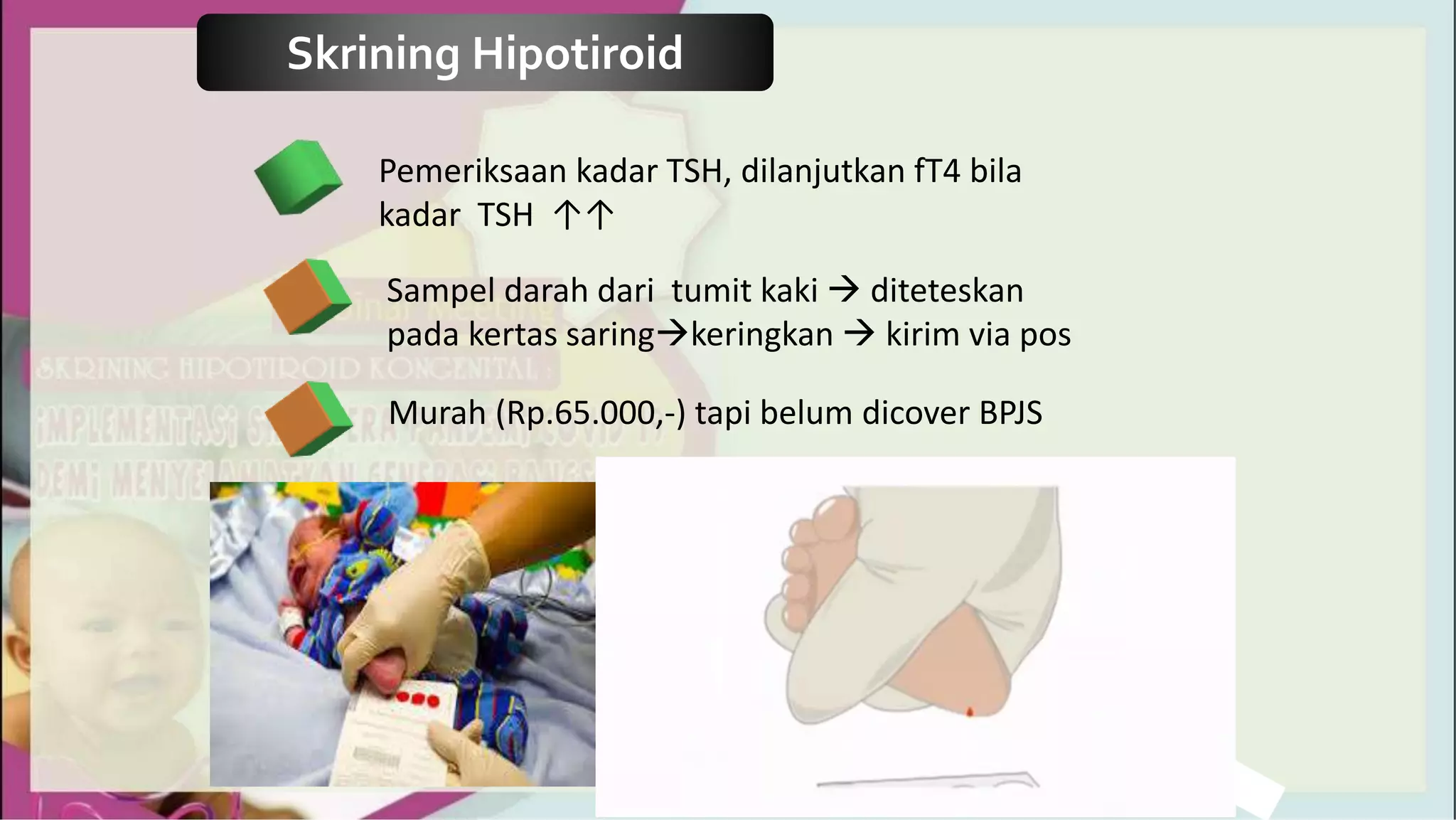 Program SHK 2022.ppt