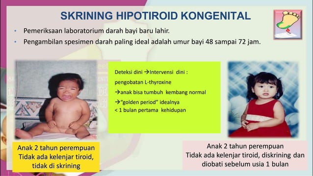 Program SHK 2022.ppt