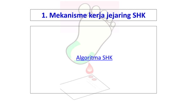 Program SHK 2022.ppt