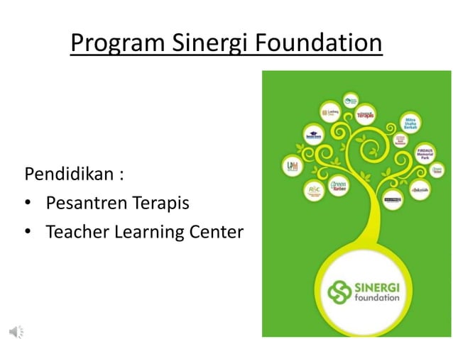 Program sinergi foundation1 | PPT