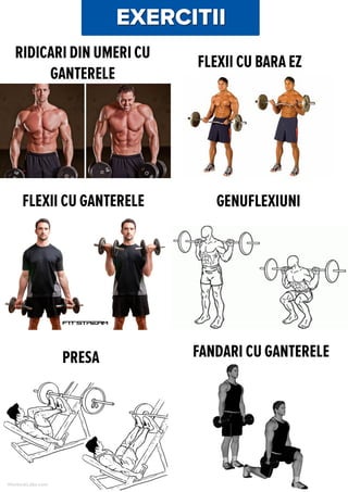 Program slabit | PDF