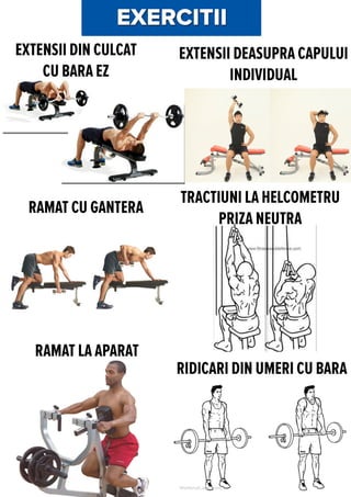 Program slabit | PDF