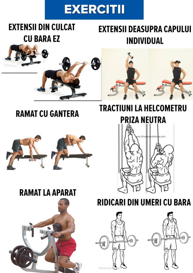 Program slabit | PDF