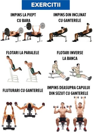 Program slabit | PDF