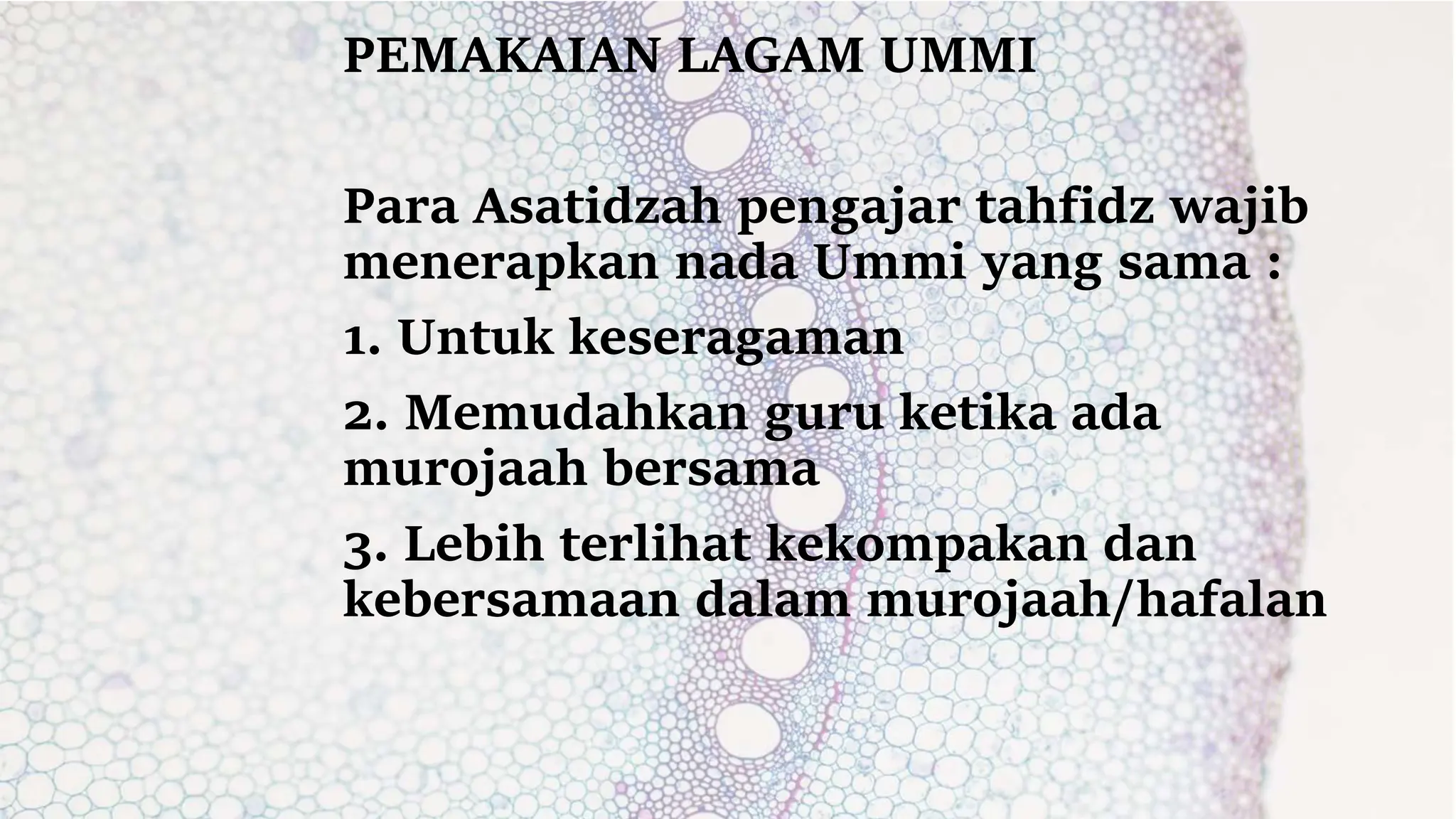 program dan juksd Islam Tahfidz 2024-2025.pptx