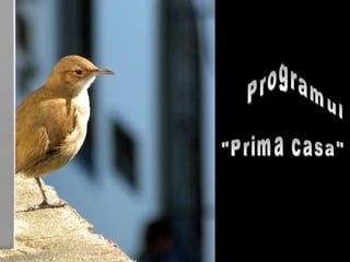 Programul @prima casa | PPT