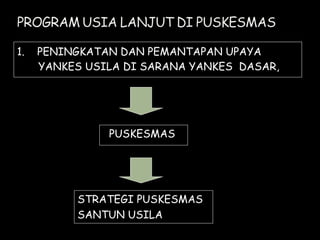 Program usila di puskesmas | PPT
