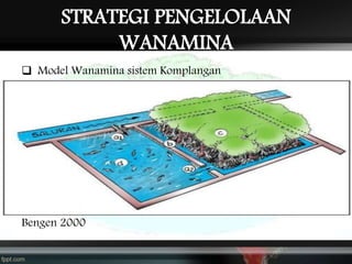 Program wanamina indonesia | PDF