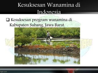 Program wanamina indonesia | PDF