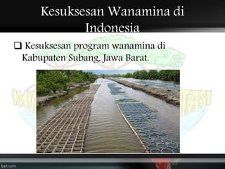 Program wanamina indonesia | PDF